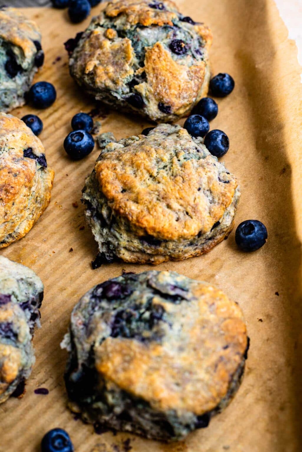 The Best Blueberry Biscuits - The G & M Kitchen